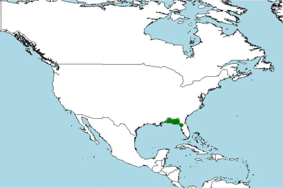 Anfibios - Animales y biología