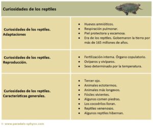 20 Curiosidades de los reptiles, con ejemplos y cuadro resumen