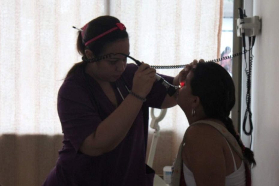 Cuerpo humano - Animales y biología