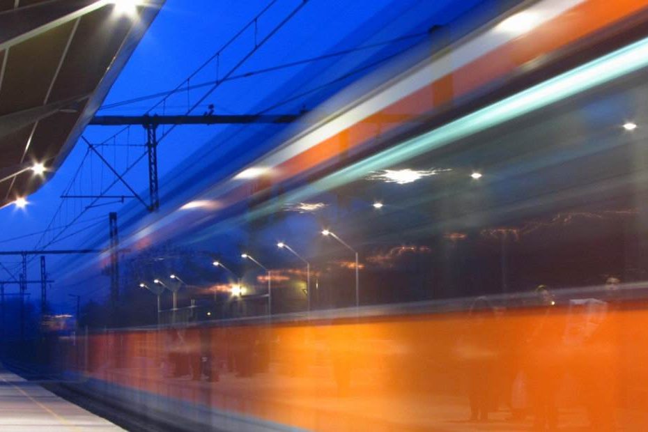 Enfermedades - Animales y biología