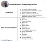 15 Mejores perros para guarda y defensa